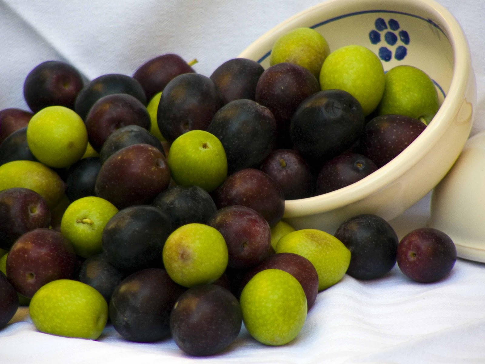 Sud Italia in Cucina: Conserviamo le Olive