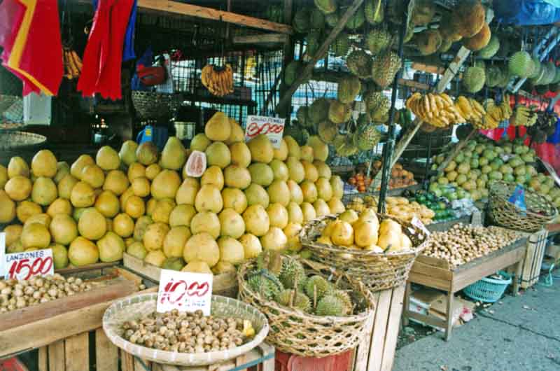 JE VIS AUX PHILIPPINES: SAISON DES FRUITS À DAVAO ... MINDANAO