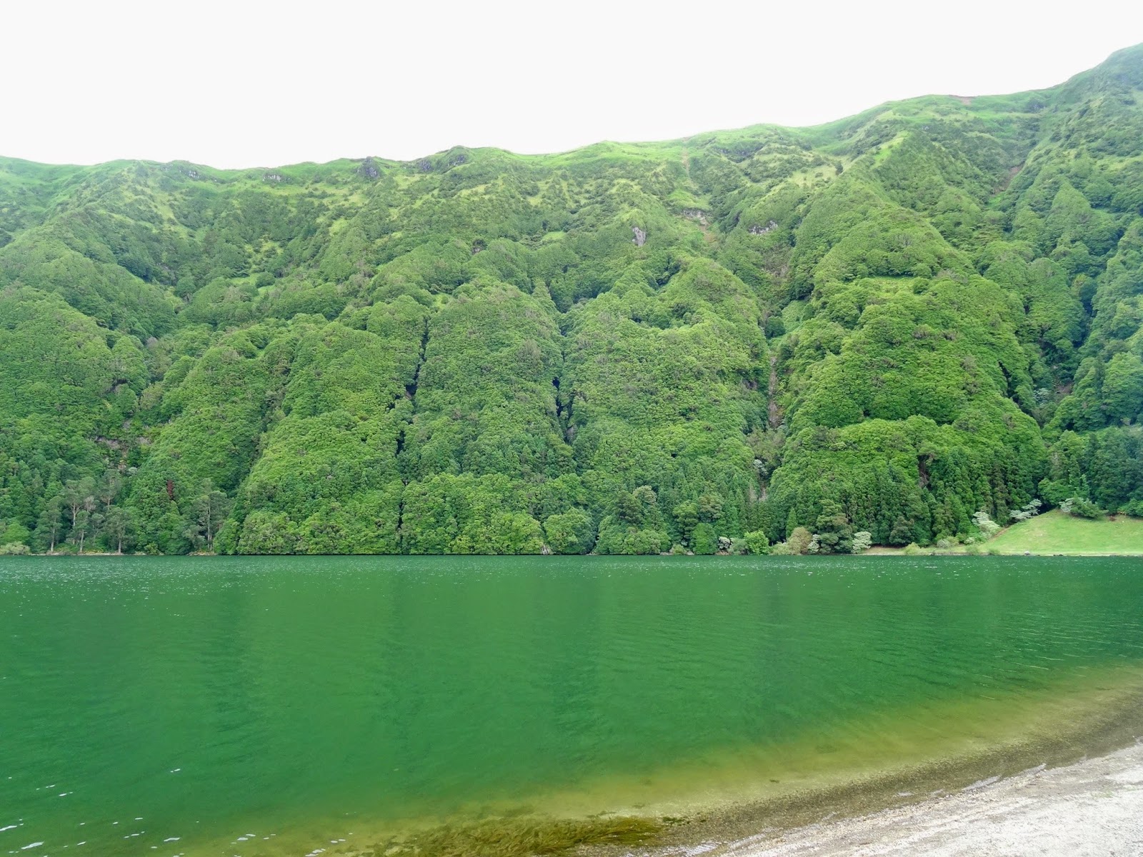 Let me show you Azores: Lagoa Azul, Lagoa das Sete Cidades, S. Miguel