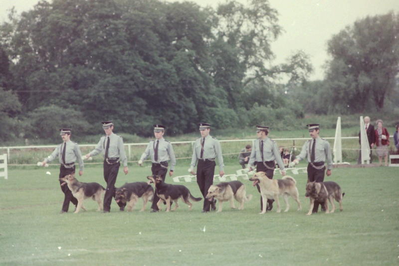 UK Police Dog history: Notts Police Dog display