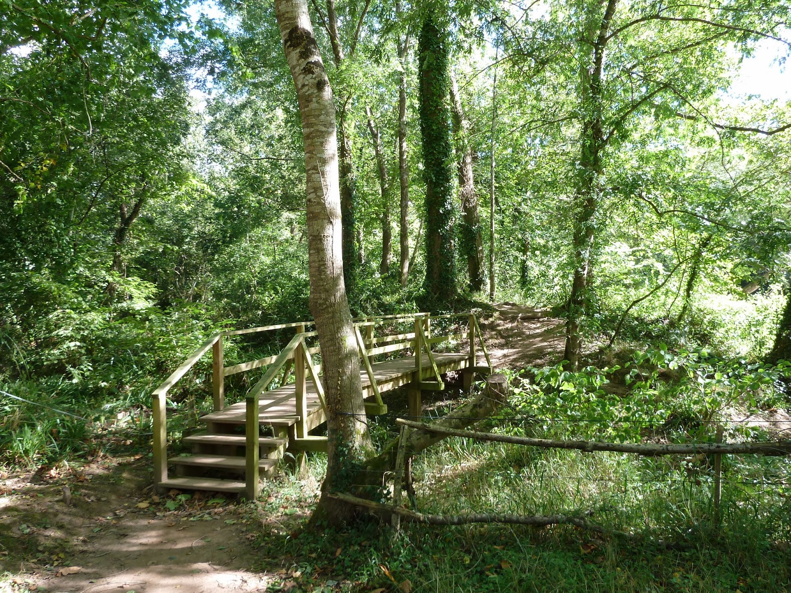 en la buena senda: Senda del Nansa