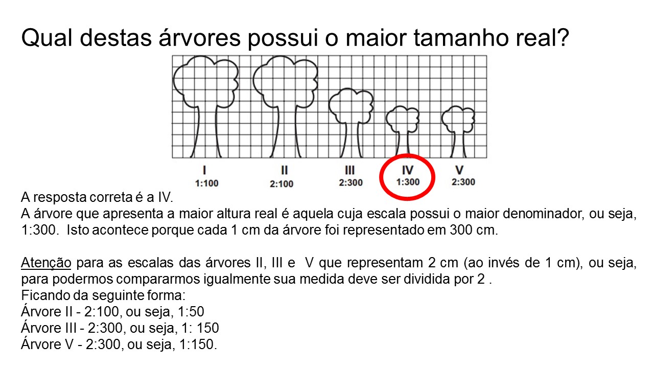 Exercícios De Escala Cartográfica 6 Ano - FDPLEARN