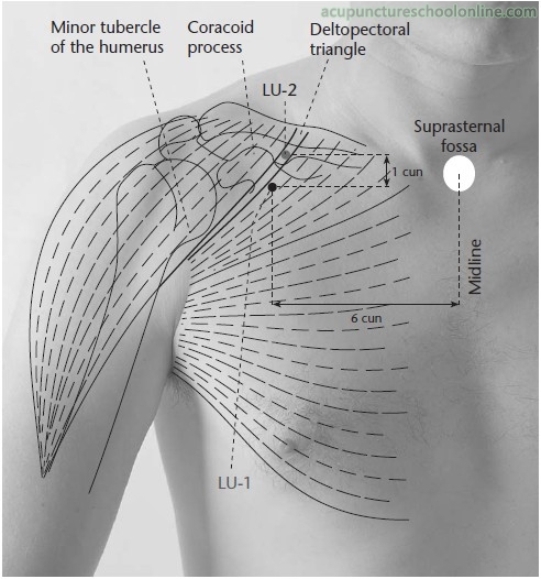 Jarum Sakti: Meridian Paru-paru & Usus Besar