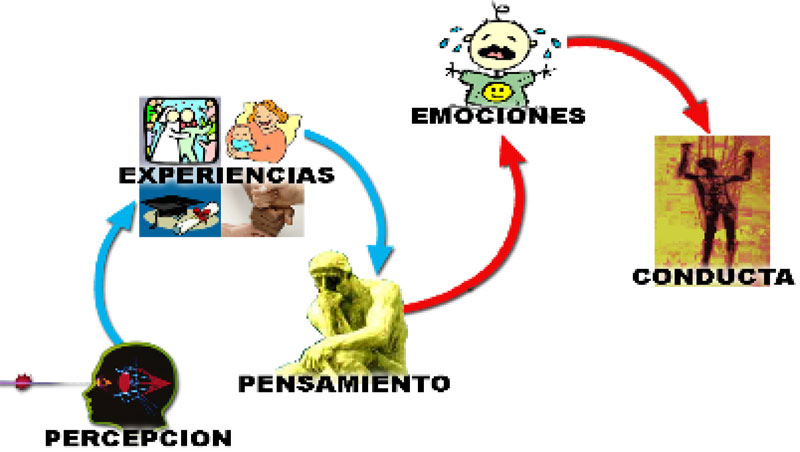 Consejos para una Psique sana: Ámbitos del psiquismo & La condición de ...