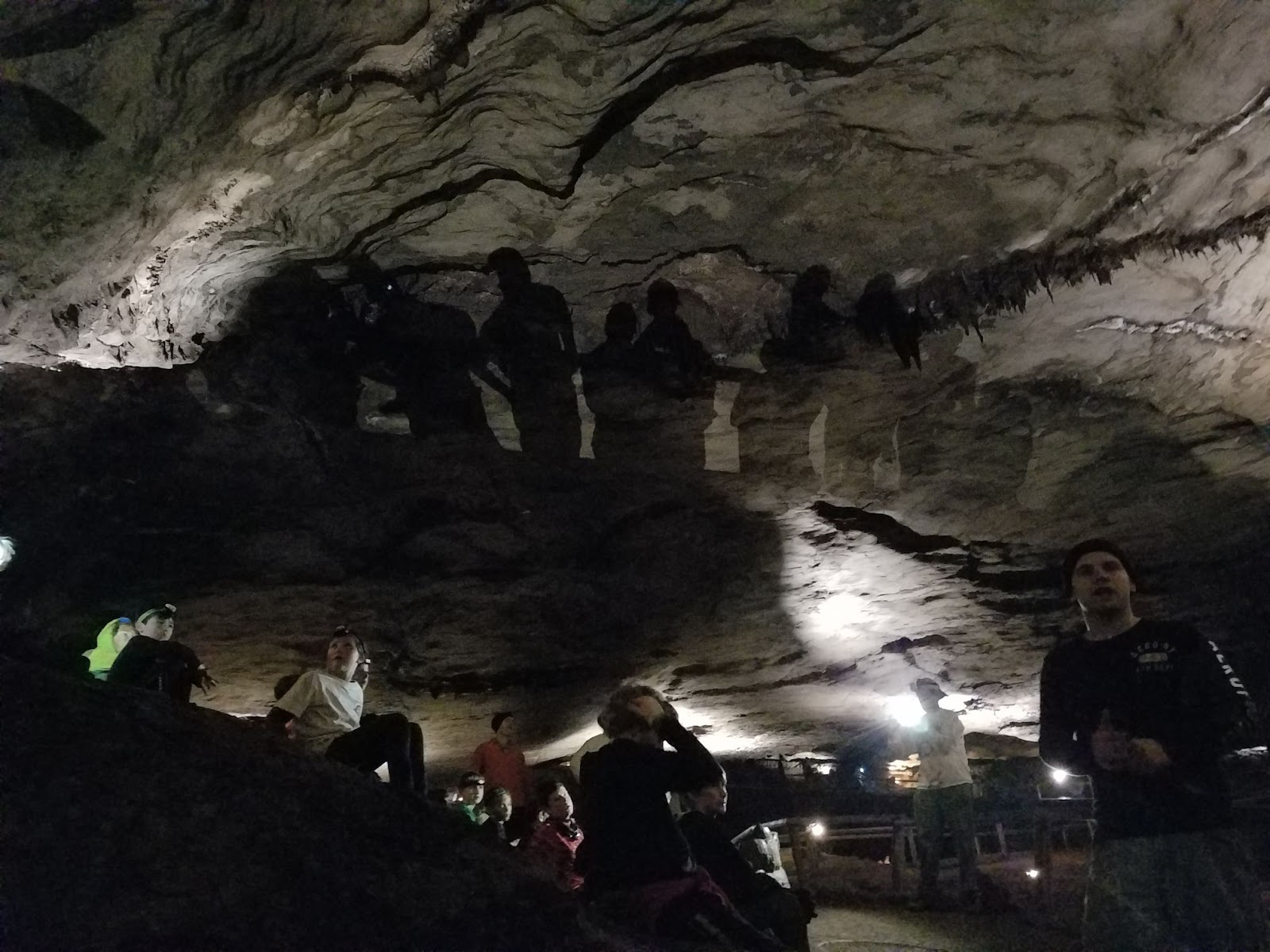 Femme au foyer: Lost Sea of Craighead Caverns