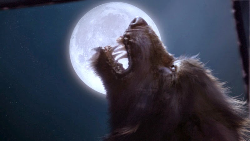 White Wolf : A Brief History of Real Life “Werewolves”