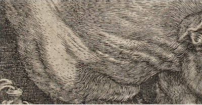 THE OTHER ART ONE: Amazing Lines of Durer