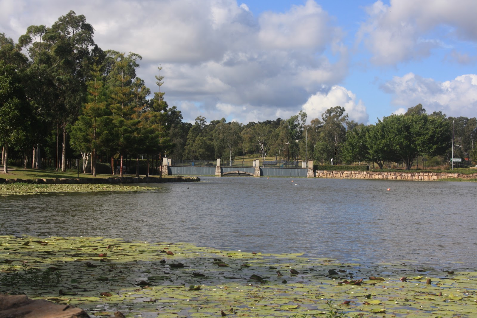 Mik's Random Adventures: Coffee at Springfield Lakes