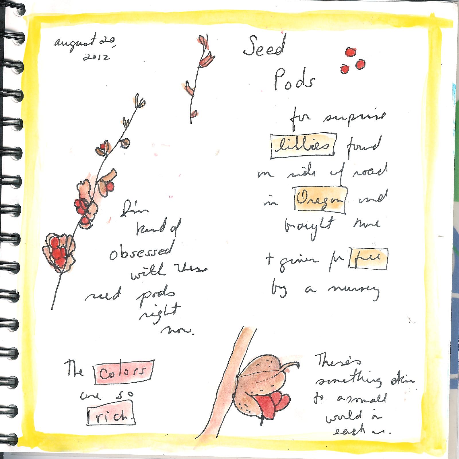 Gallo Organico: PPF: Backyard Field Journal