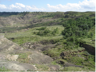 A Floristic inventory of the Ashland and Sioux Ranger Districts of ...