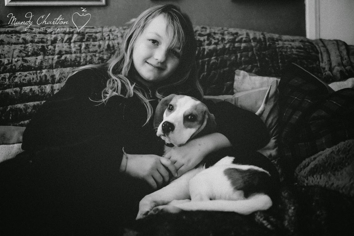Say hello to Holly the Beagle | Mandy Charlton - Photographer, Writer ...
