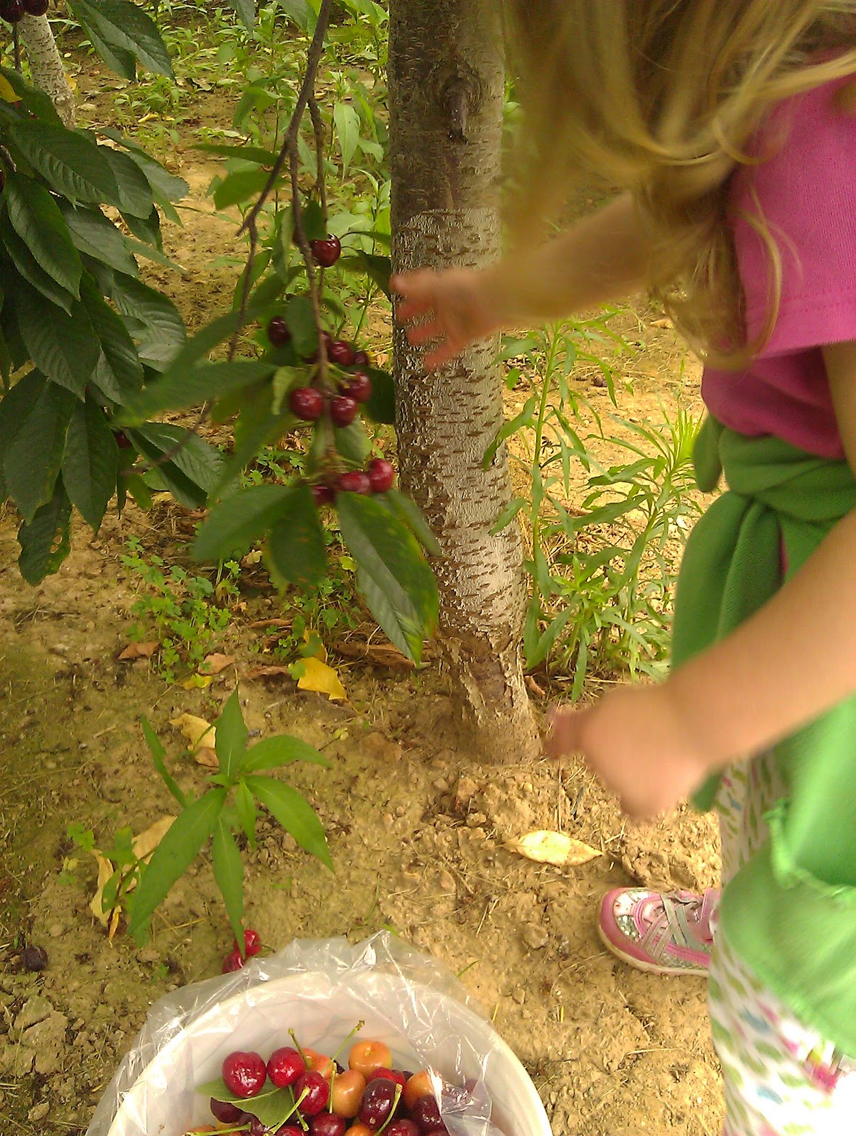 The Polkadot Rocket: Best Part of Summer...Jam!