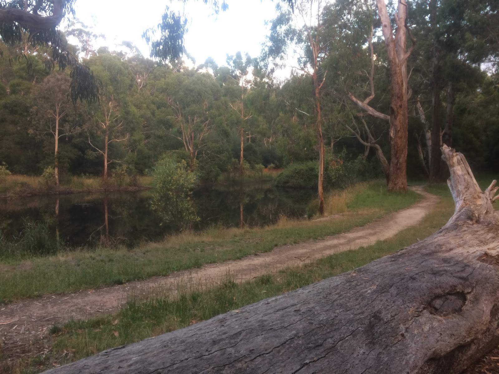 Mountains of Adelaide