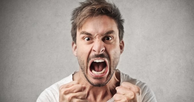 Despertar da Mente: Qual é a origem da agressividade?