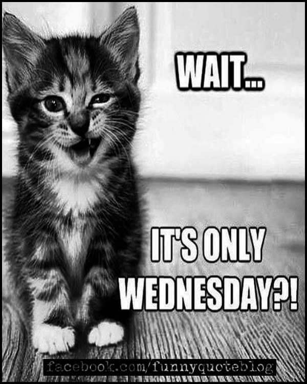 Funny Wednesday Meme, Images, Pictures And Photos