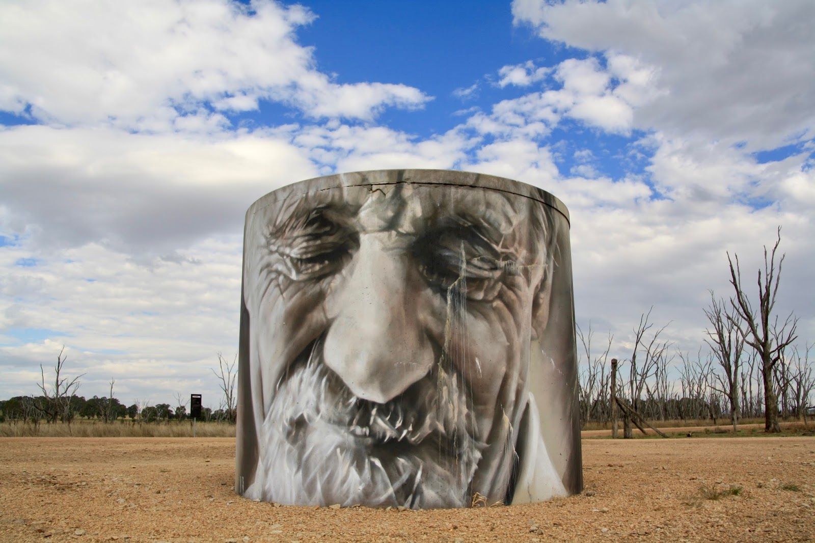 RDO Melbourne: Winton Wetlands Landscape Art
