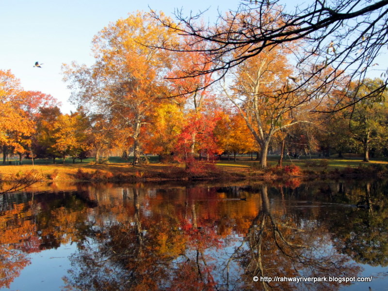 4 seasons in the life of Rahway River Park: Rahway River Park Peak Fall ...