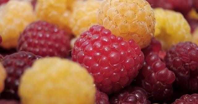 Despre fructe si legume: ZMEURA GALBENA