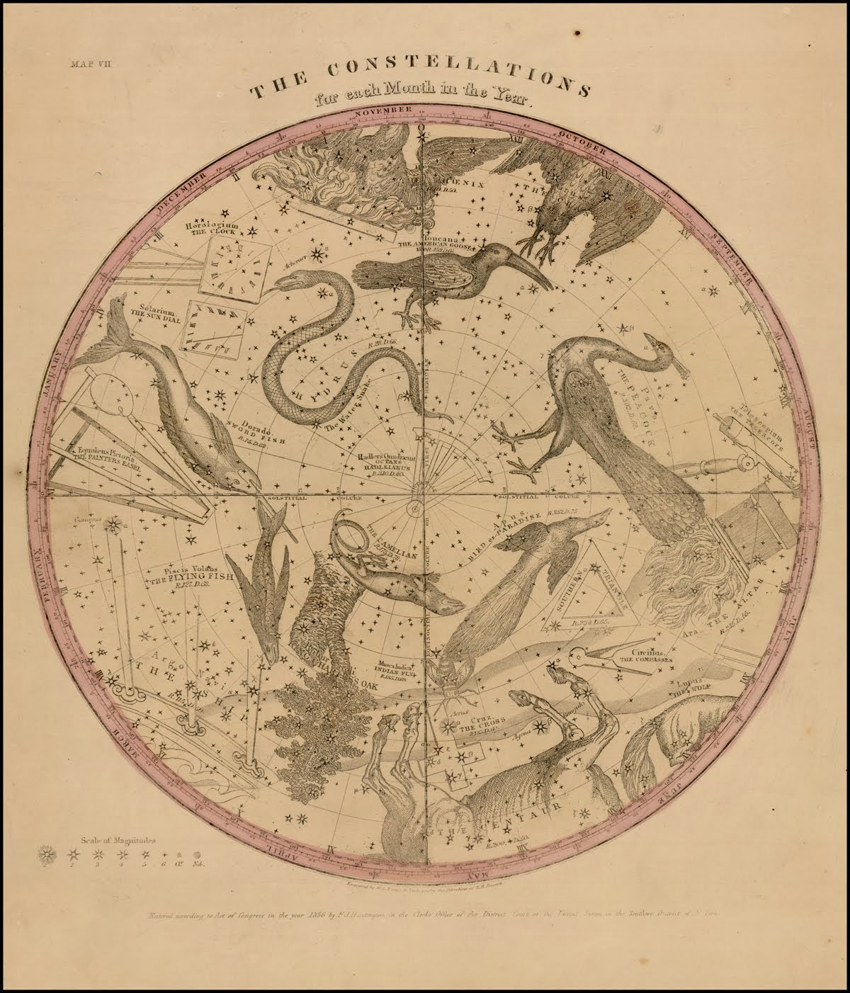 Sobre a Constelação de Apus, a Ave-do-Paraíso: Referências ...