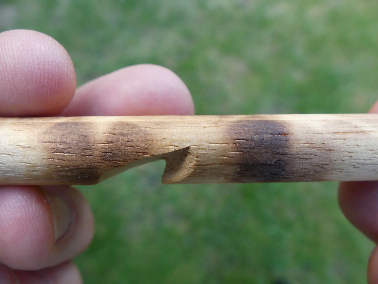 The Outdoor Traditionalist : Homemade Atlatl/ Dutch Arrows