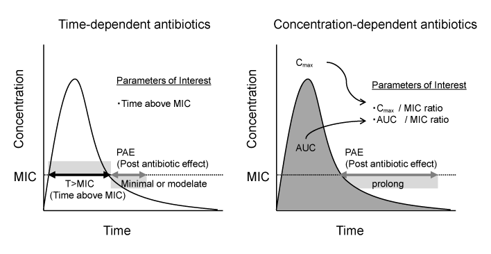Ilman Silanas Blog: ANTIBIOTIK MANA YANG TERMASUK DALAM KATEGORI TIME ...