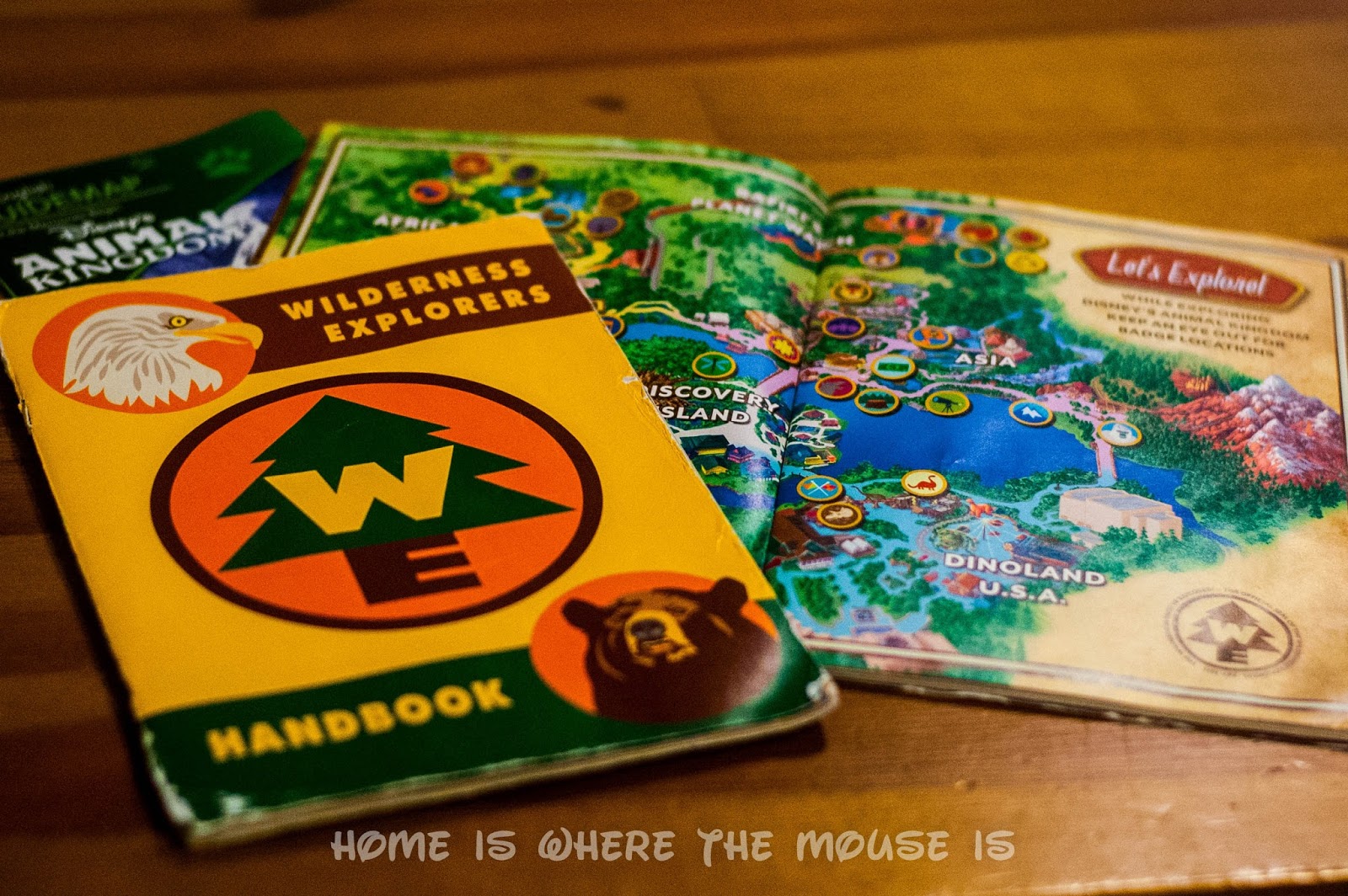 The Wilderness Must Be Explored | Wilderness Explorers Program