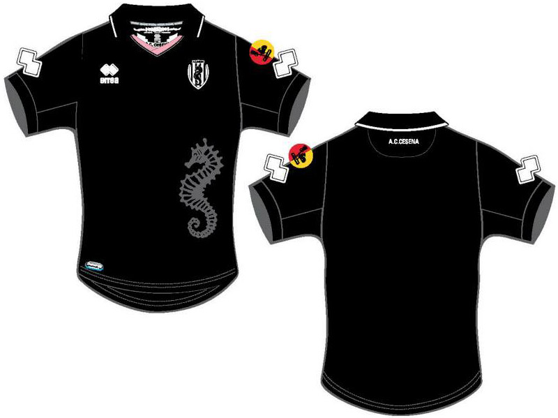 Cesena 13-14 (2013-14) Home and Away Kits Released - Footy Headlines