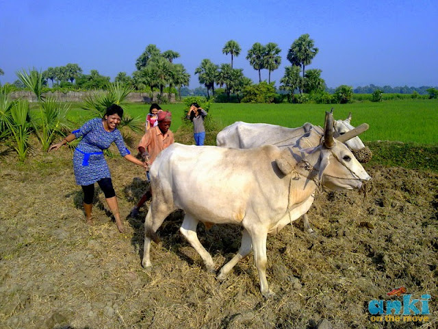 Bodhgaya:Rural Bihar,Photos,Videos | Anki On The Move