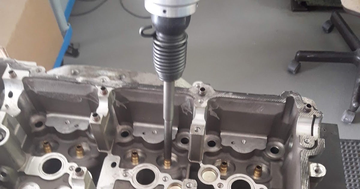 Boxerparade: Wasserboxer 3,8l Köpfe