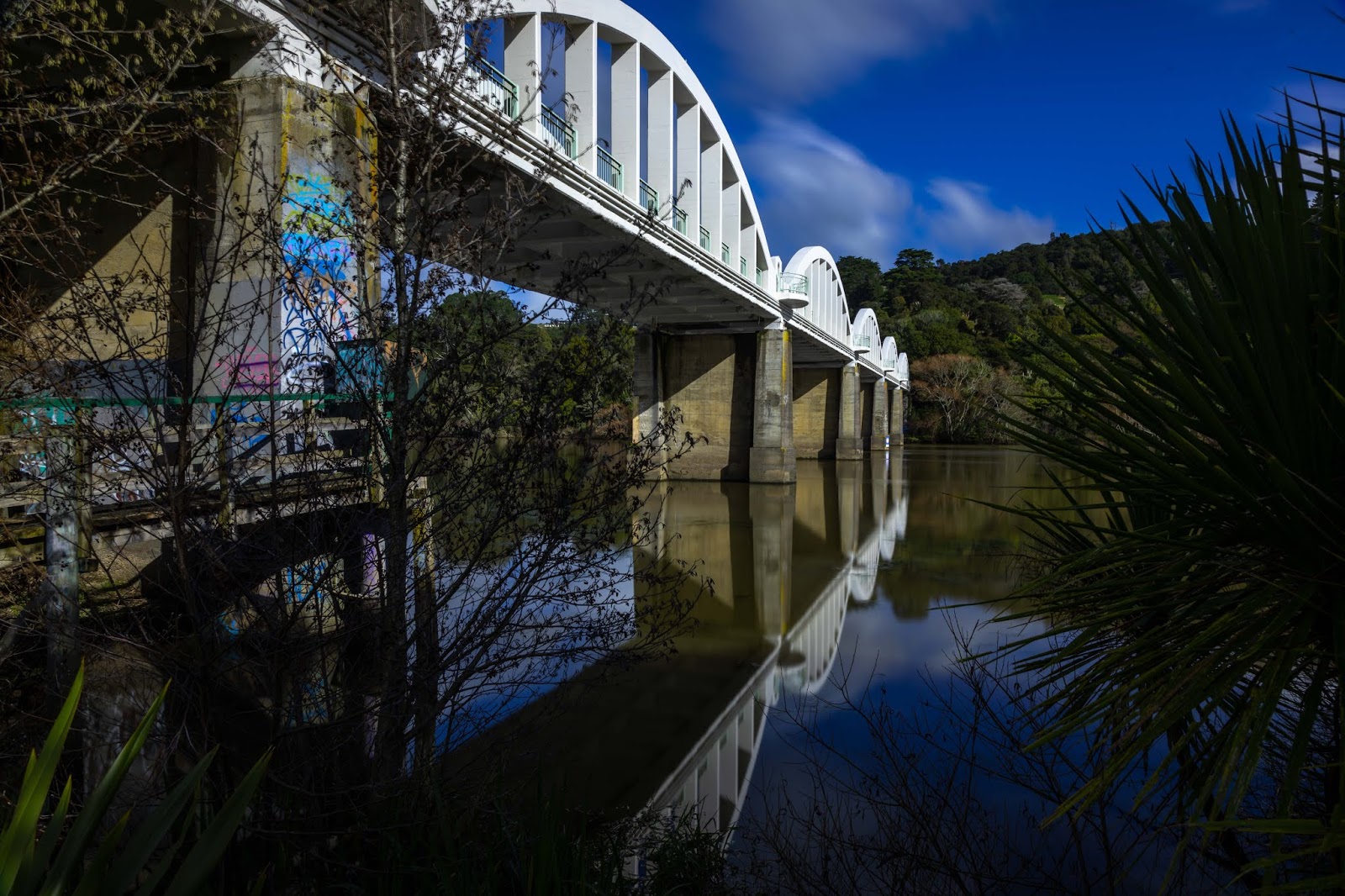 A Kiwi at the camera: Waikato River Bridge at Tuakau