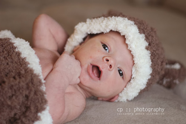 sassafras: baby "j" :: newborn photography