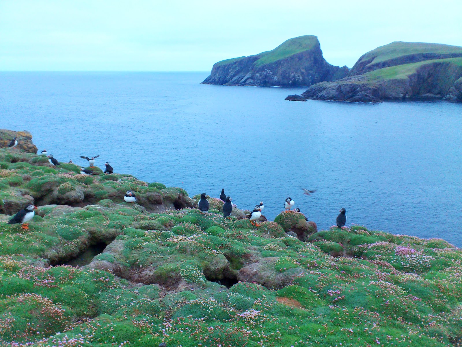 Scottish golf courses - all of them: Fair Isle Lighthouse Keeper's Golf ...