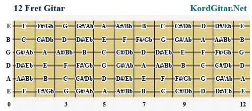 Kunci Gitar Dan Nada Dasar My Music