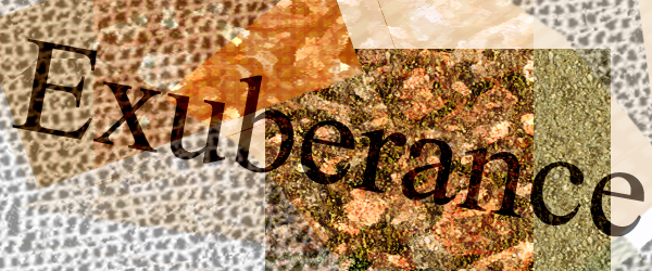 Monday Morning Artists: Exuberance Show - in the works with YSAC