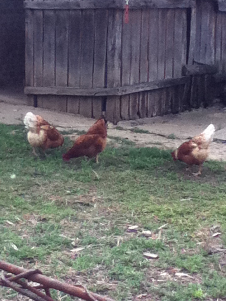 Helgas travels: Velke Pole (Hochwies), Slovakia