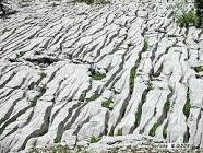 GEOLOGIA: PROCESO KÁRSTICO