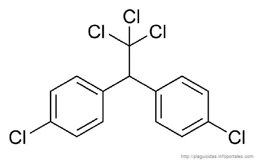 Los Contaminantes Persistentes en Oxapampa y el Perú