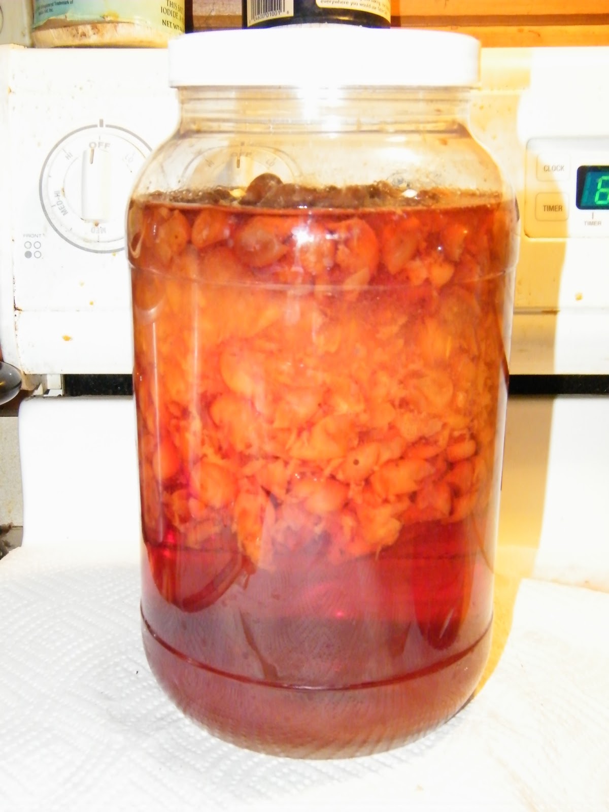 Veronica the Lazy Diva's Quasi-Crafty Blog: BOOZE....Homemade Sour ...