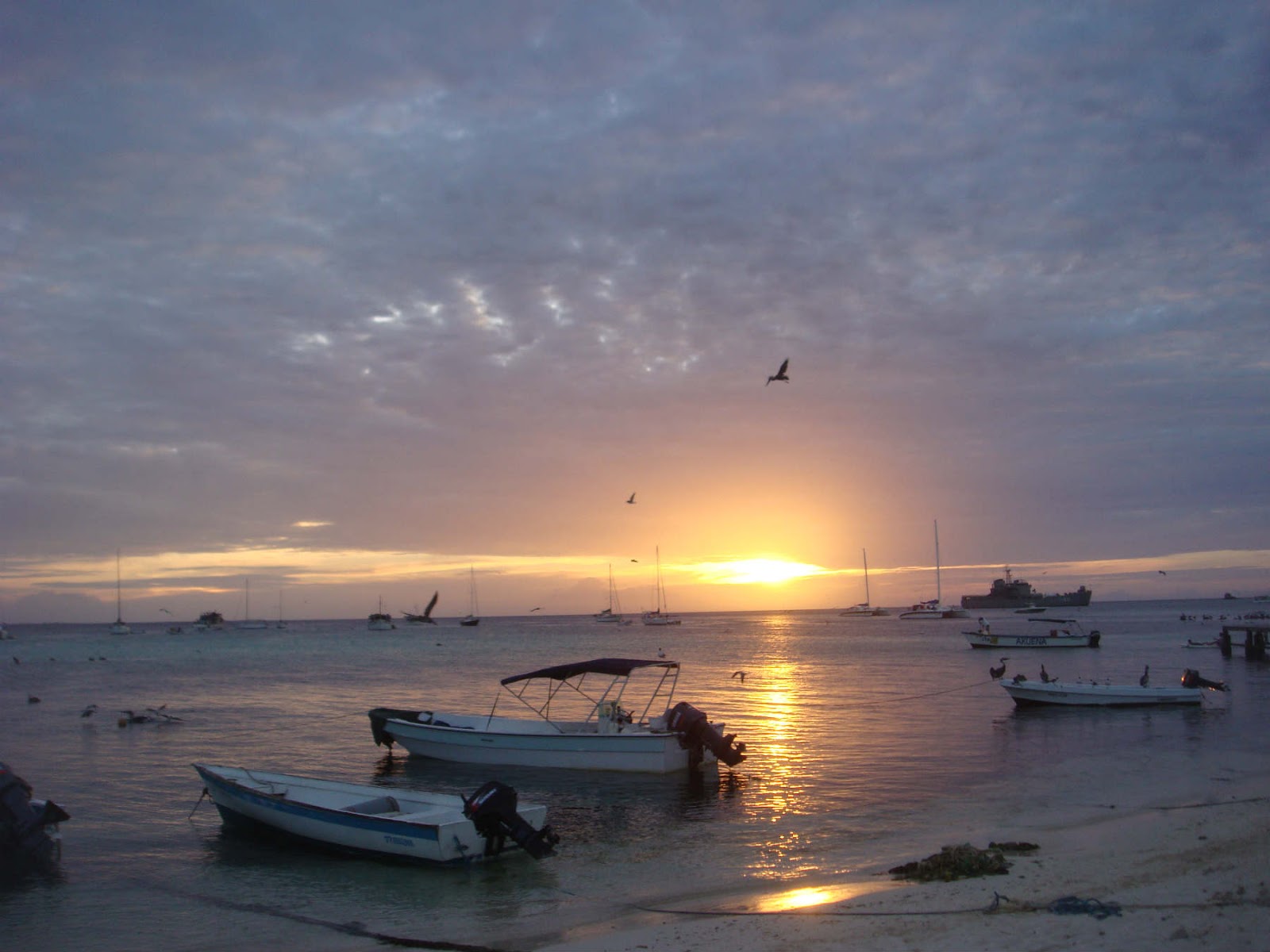 As praias de Los Roques, na Venezuela - Renata Viaja...