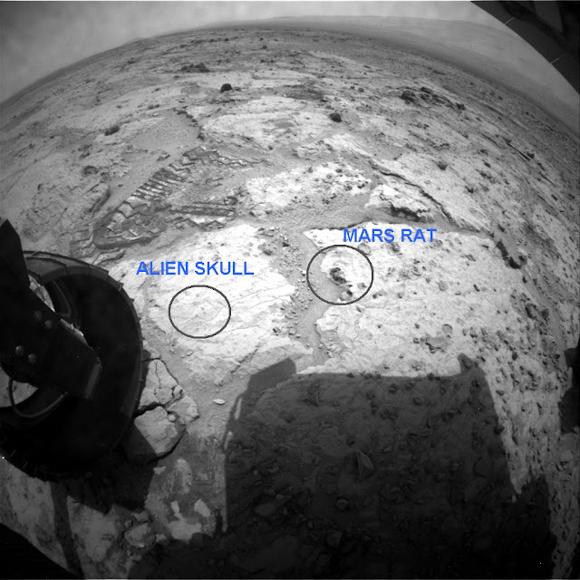 Latest Curiosity Photograph Shows Another "Mars Rat"? - June 21, 2013
