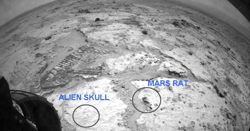 Latest Curiosity Photograph Shows Another "Mars Rat"? - June 21, 2013