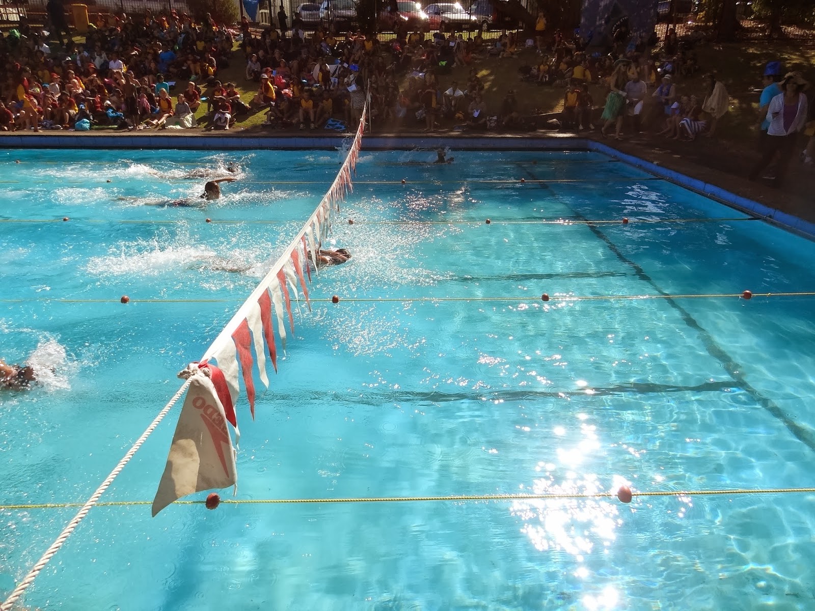 Howick Intermediate Room 7: School Swimming Sports