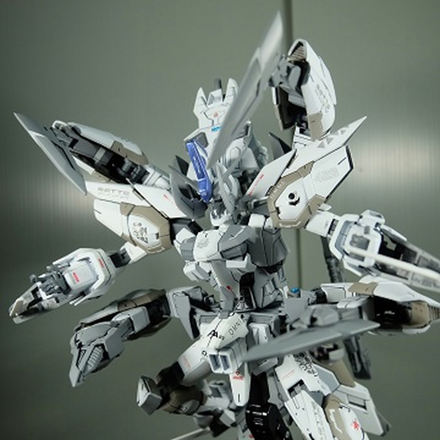Custom Build: MG 1/100 Aegis Gundam [Albino] + Transformable