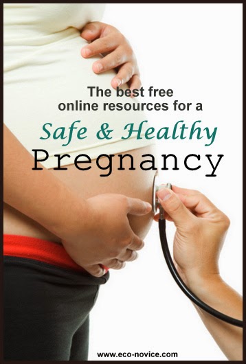 Safe & Healthy Pregnancy: the Best Free, Online Resources ~ Eco-novice