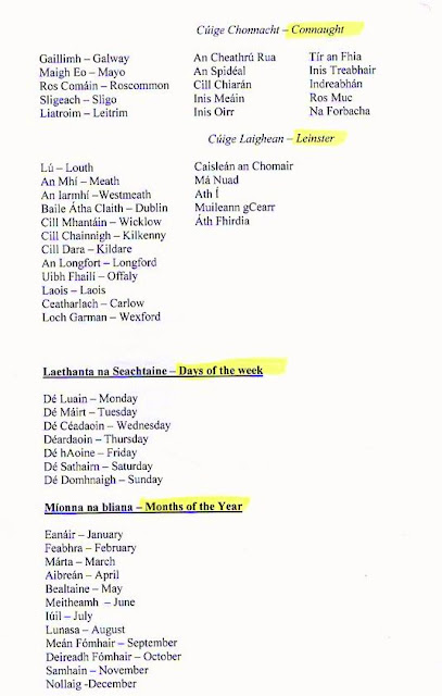 Study Notes By Kaz: Irish Vocab & Paper 1: OL