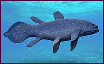 Affiliblog 2: Have You Ever Seen Something You Couldn’t Explain ~ The ...