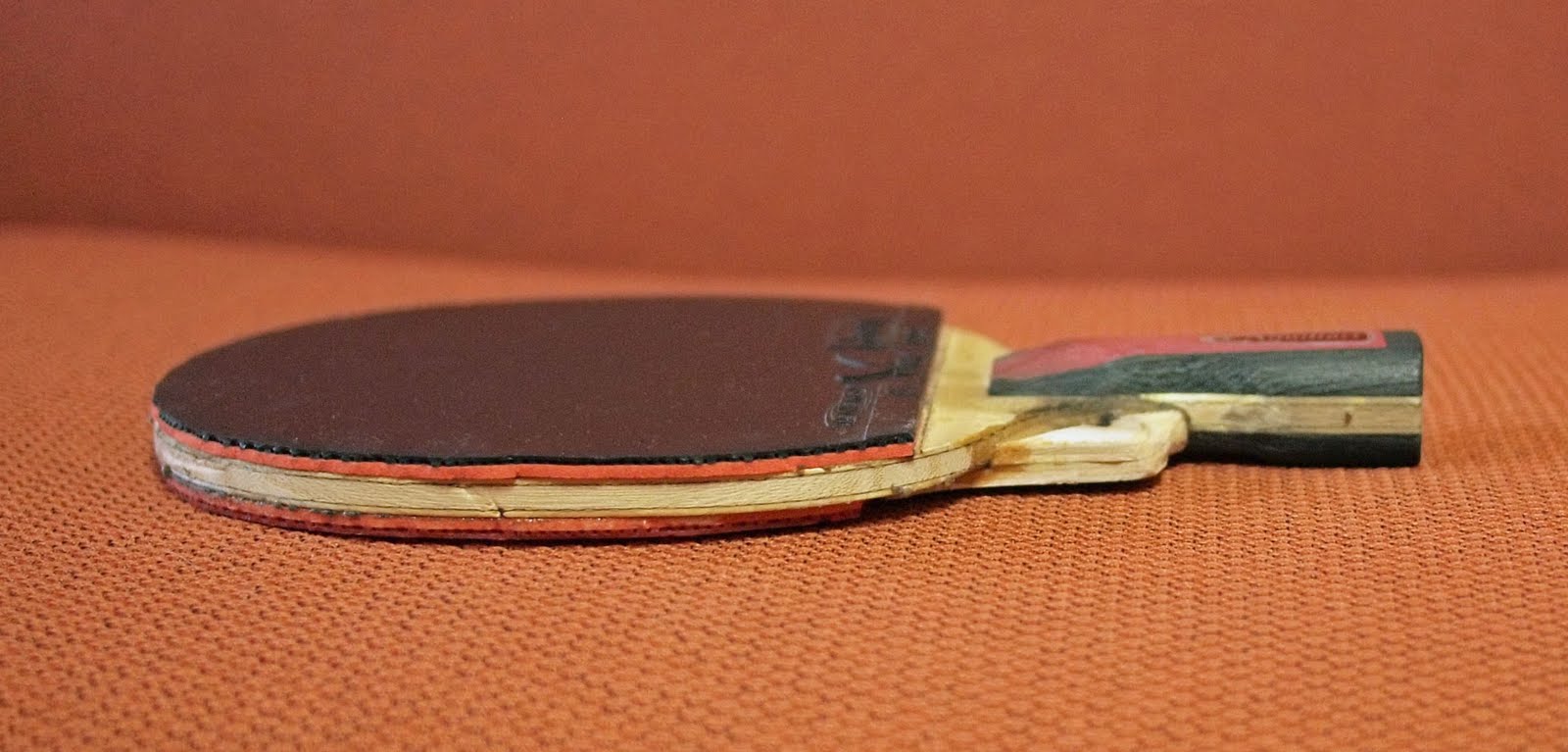 TheSandiway: Shenzhen Ping Pong: reverse penhold paddle