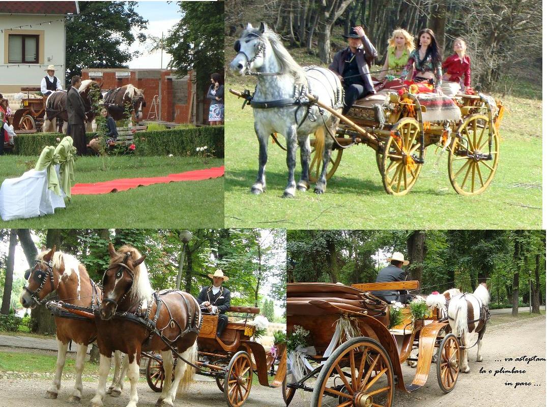 Nunta "Vis-a-Vis": Serviciile noastre: Inchiriere caleasca pentru nunti ...