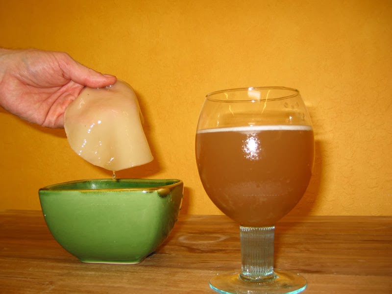 Teh Kombucha Dan Manfaatnya | Tehlista Ahlinya Teh