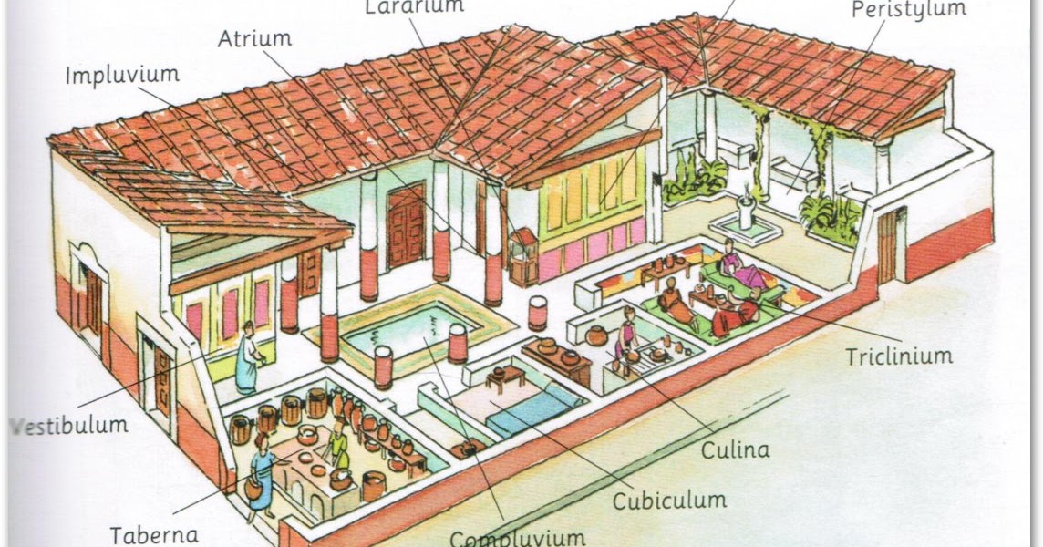 AULA LATINA : DOMUS, VILLA et INSULA